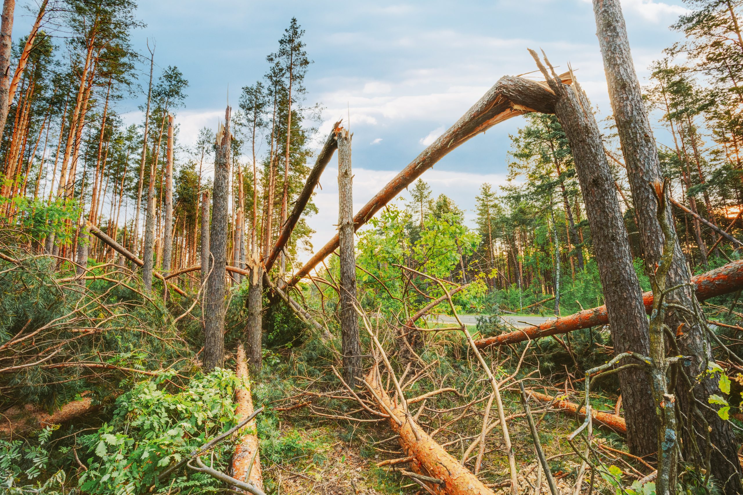 How to Prepare for an Insurance Claim After a Natural Disaster: A Step ...